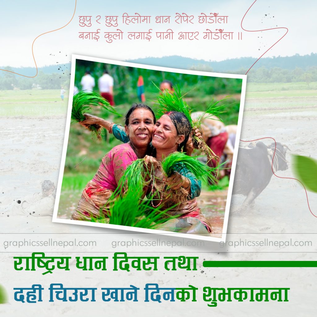 FN : 5401 Ashar 15 – Graphic Sell Nepal